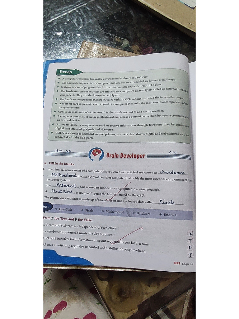 CTS Book Work Class 7 Icse | PDF