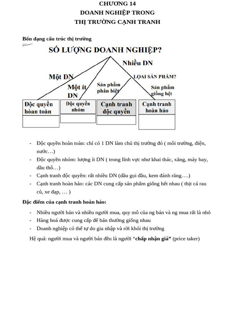 CHƯƠNG 14 - DN Trong TT C NH Tranh | PDF