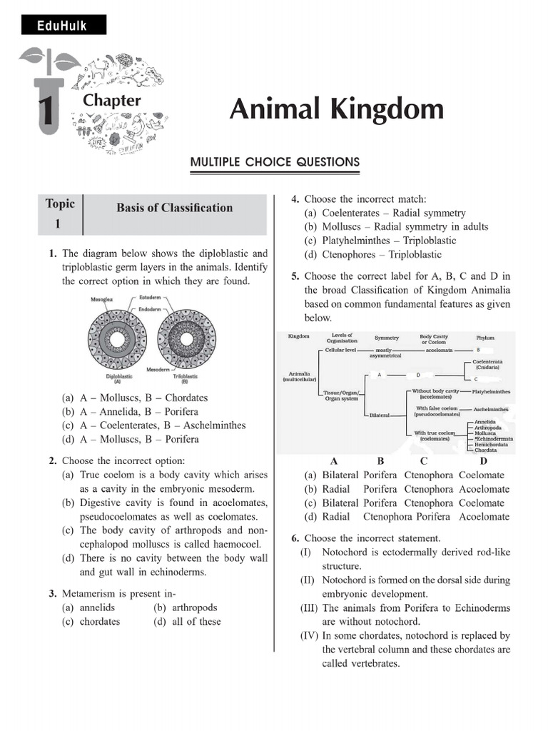 CH4. Animal Kingdom | PDF