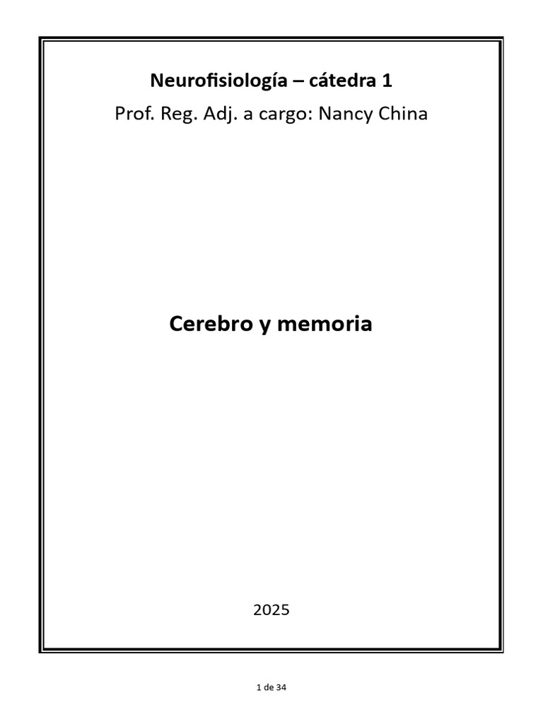 Cerebro Y Memoria Pdf Memoria Amnesia