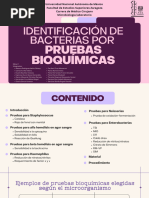 Prueba de Optoquina para Neumococos | PDF | Estreptococo | Microbiología