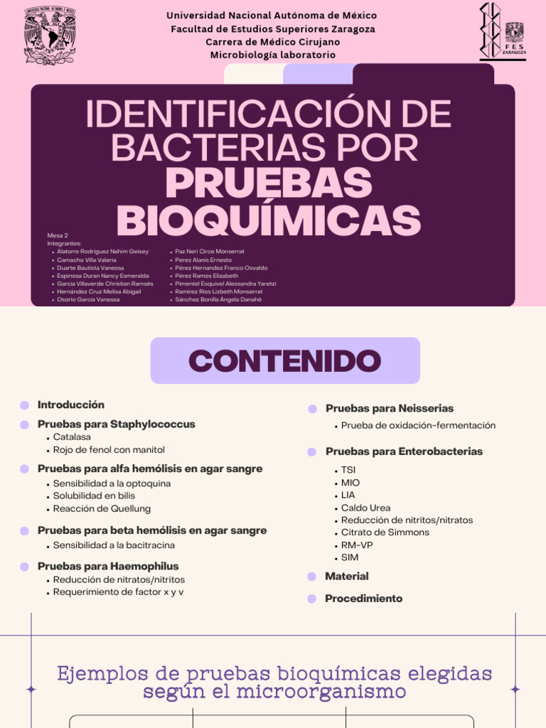Pruebas Bioquimicas | PDF | Las bacterias | Compuestos químicos