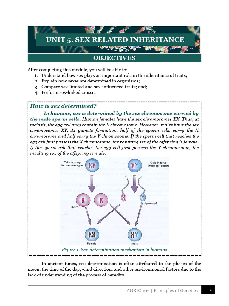 Gen Bio 2 Lesson 4 2nd Half of 3rd Quarter | PDF | Sex | Dominance ...