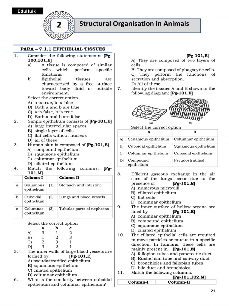 CH7. Structural Organisation in Animals | PDF