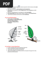 Leaf Dichotomous Key | PDF | Leaf | Branches Of Botany