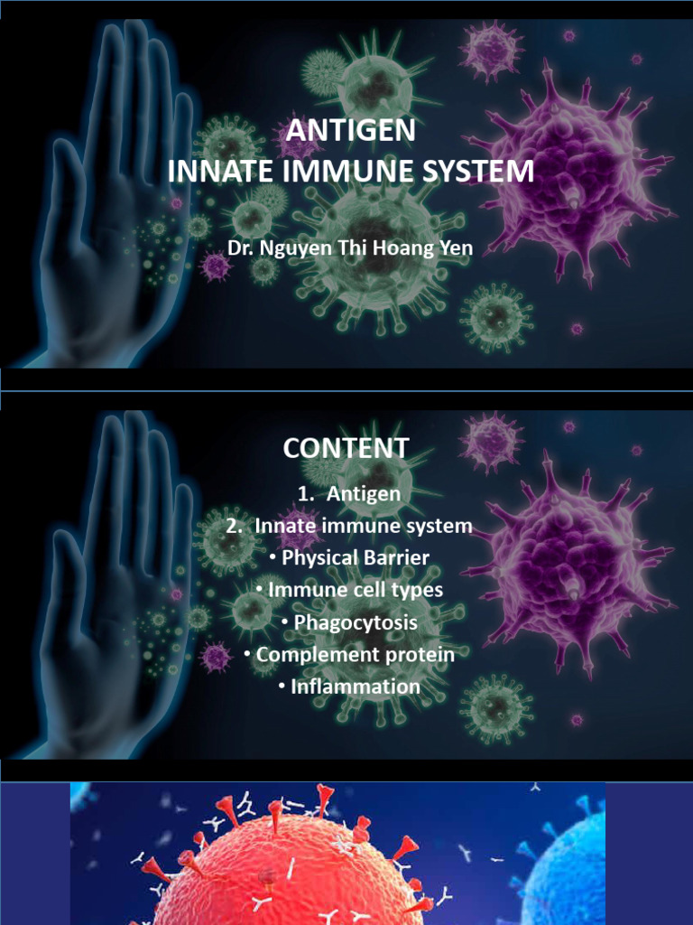 Antigen and Innate Immune System - SV | PDF | Antigen | Immune System