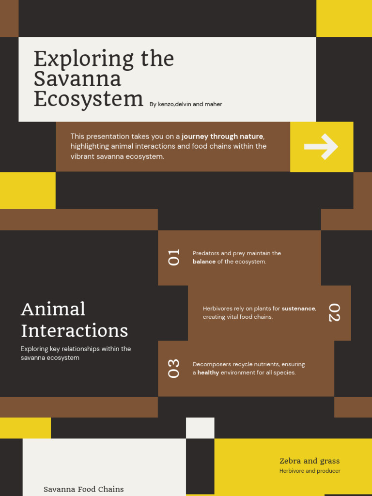Presentation - Exploring The Savanna Ecosystem | PDF