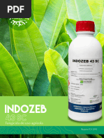 Ficha Técnica de Nitro Xtend XP | PDF | Fertilizante | Nutrientes