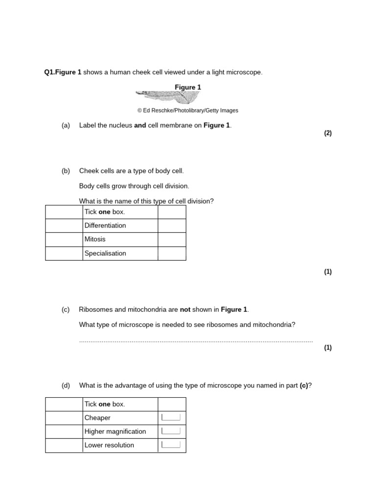 Topic 1 - Cell Biology Exam Questions and Mark Schemes | PDF | Osmosis ...