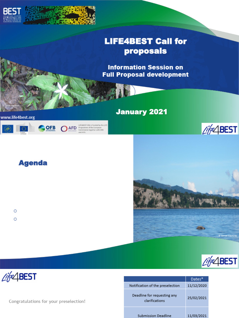 LIFE4BEST Call For Proposals Info Session2 Jan ENG | PDF | Per Diem | Spreadsheet