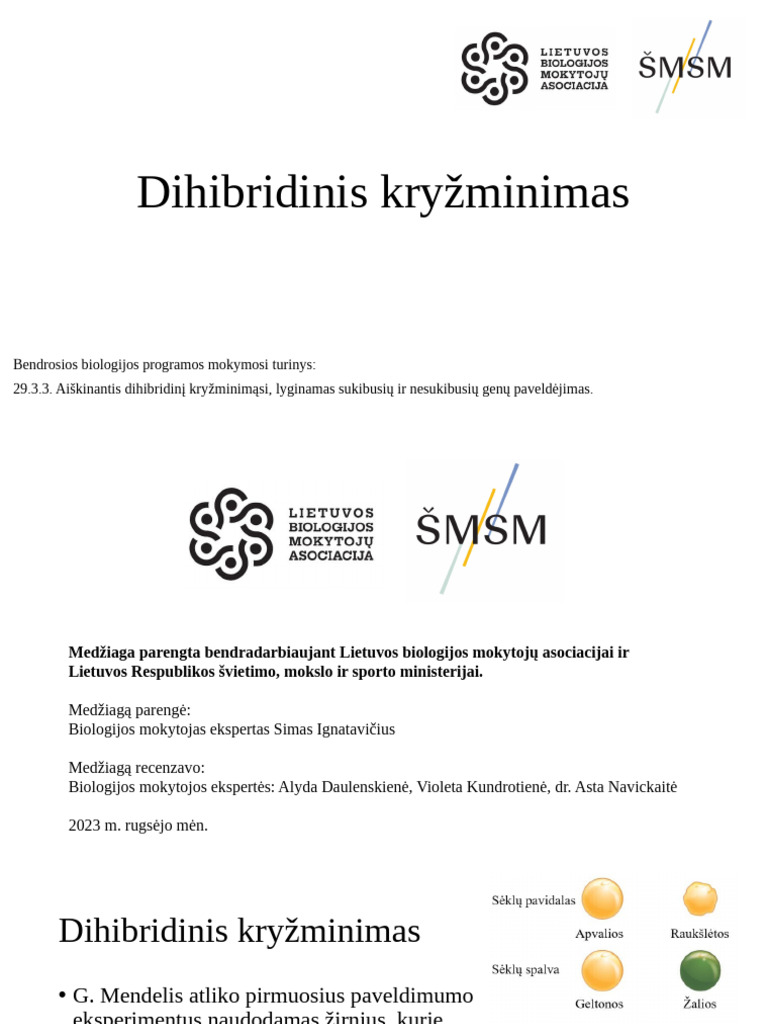 Biologija Iiikl Skaidres 9 Dihibridinis Kryzminimas | PDF
