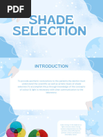 Shade Conversion Chart 2012 | PDF