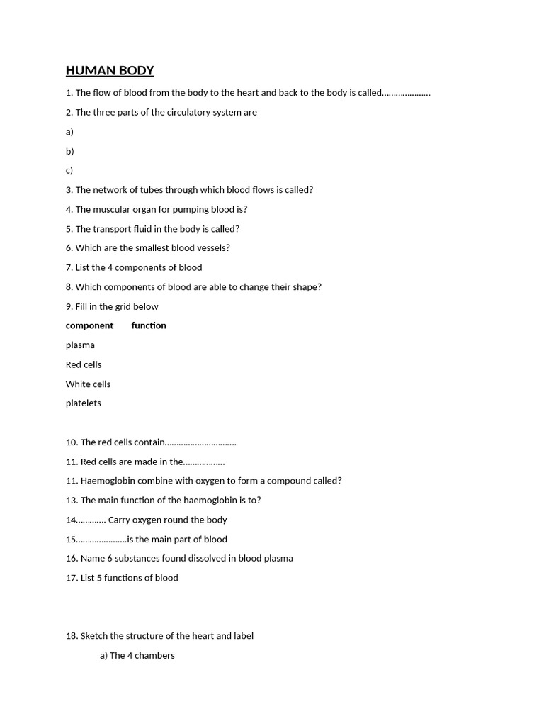 Human Body Questions | PDF