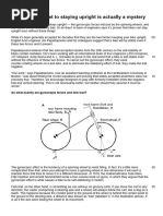 Newton's Laws in Bicycle Motion | PDF | Force | Drag (Physics)