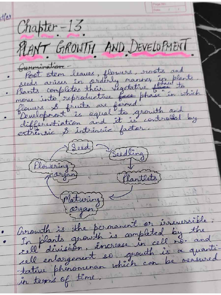Plant Growth & Development | PDF