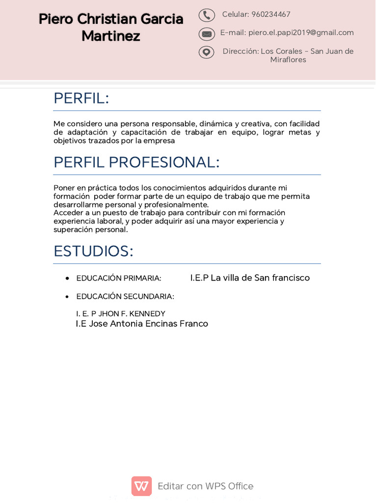 CV - Piero Garcia | PDF