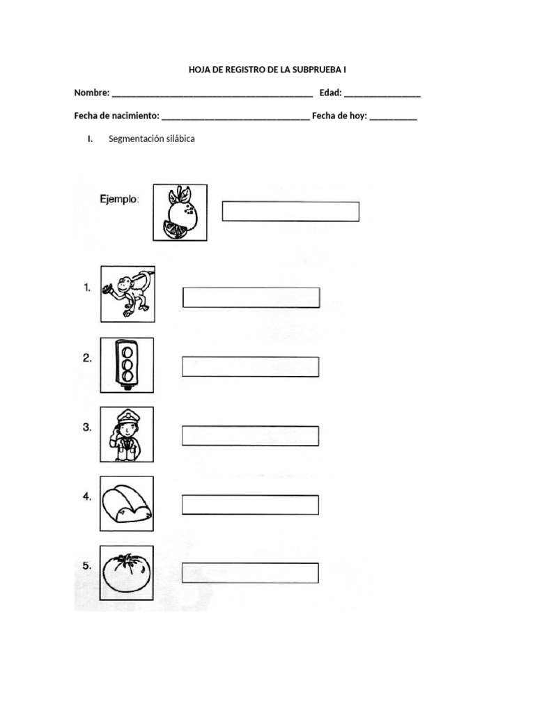 Protocolo de Registro Pecfo | PDF