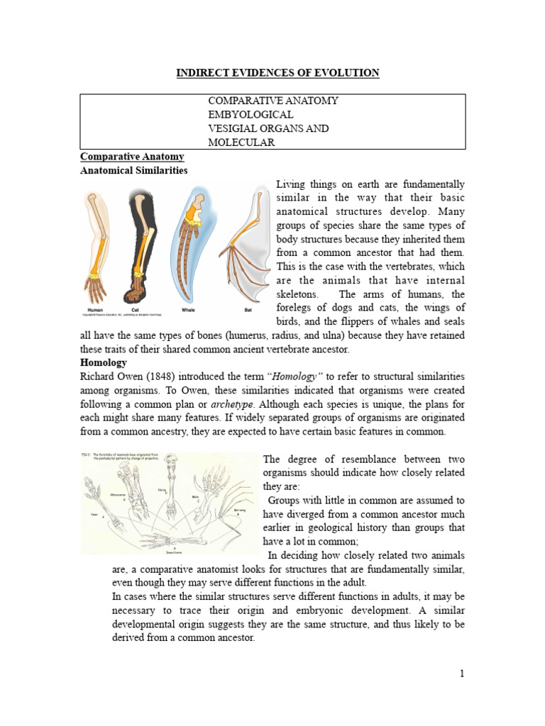 Indirect Evidences of Evolution - Homology - Analogy | PDF | Homology ...