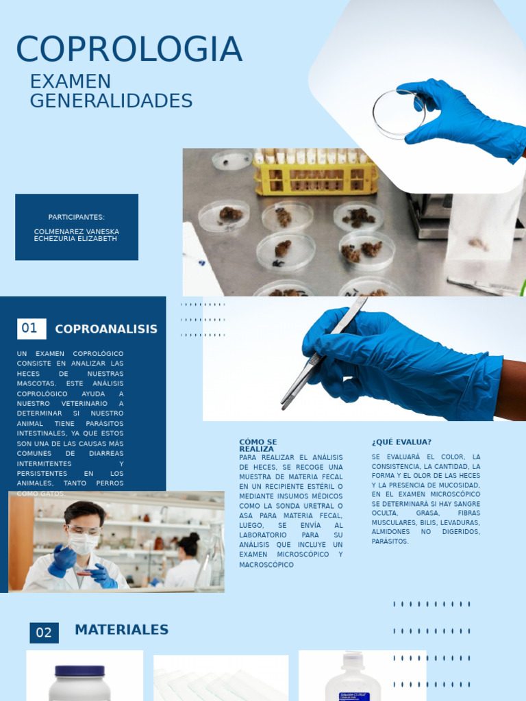 COPROLOGíA - 20250526 - 145437 - 0000 | PDF | Heces
