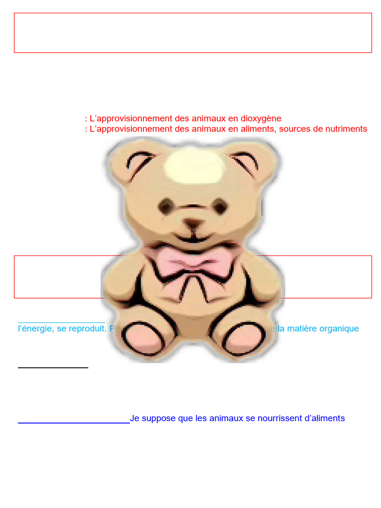 Nutrition et respiration des animaux | PDF | Système respiratoire ...