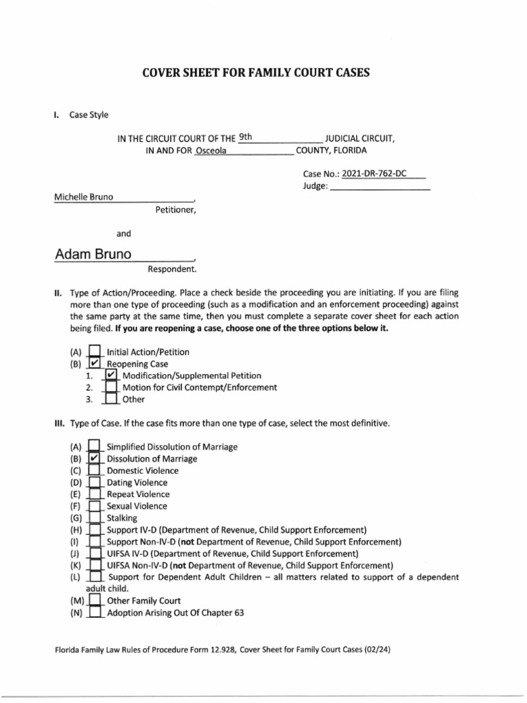 Family Court Case Cover Sheet | PDF | Family Law | Feminism And The Family