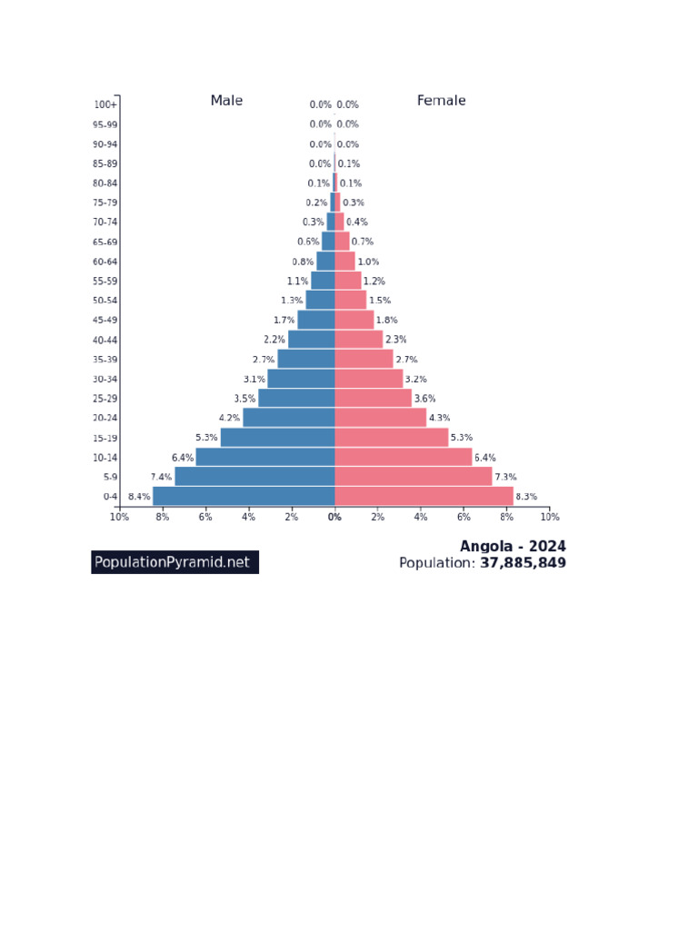 2024 Population Pyramid of Angola | PDF