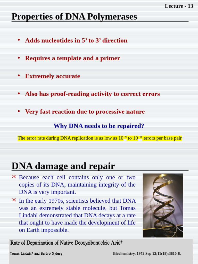LS 2202, Lecture 13 | PDF