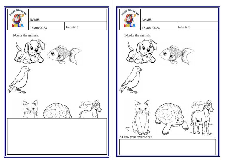Activity (Pets and Colors) | PDF