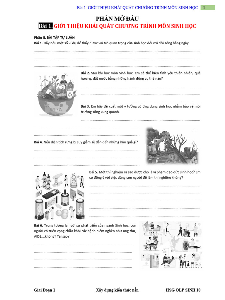 HSG-OLP-SINH10_PT | PDF