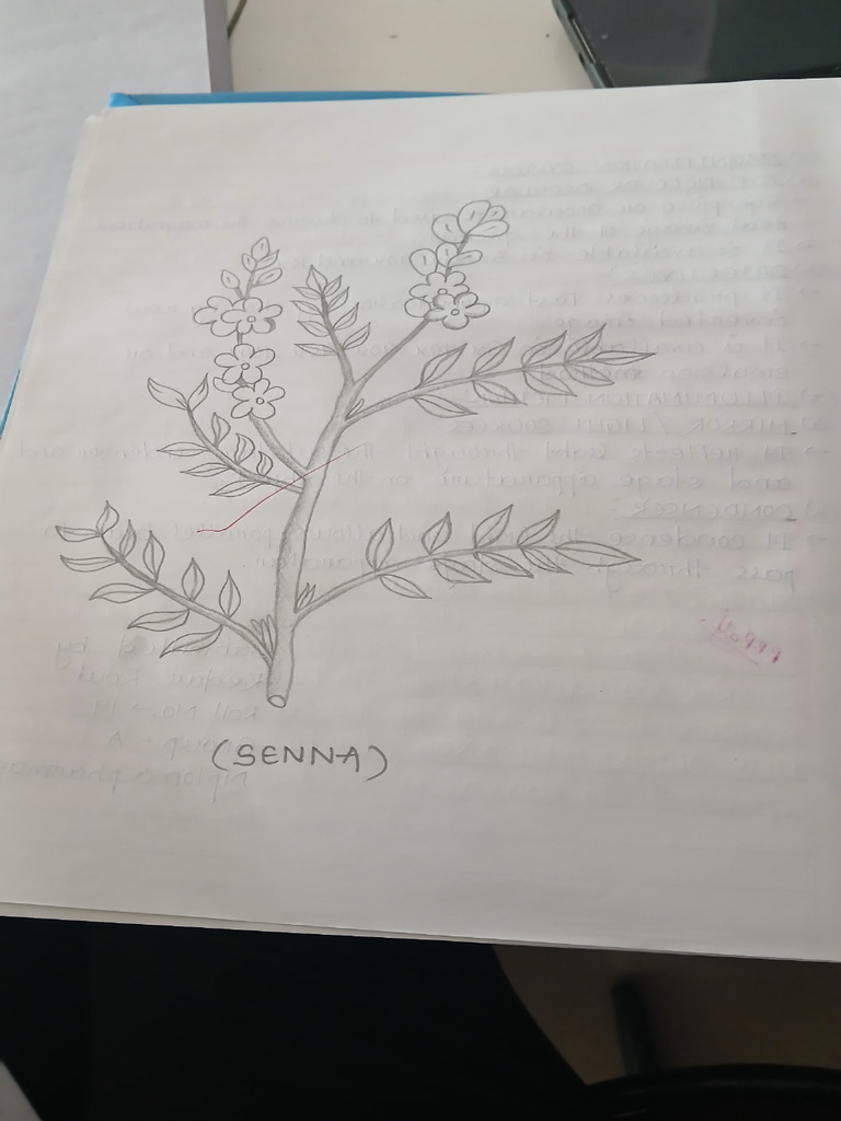 Pharma Cognosy Practical | PDF