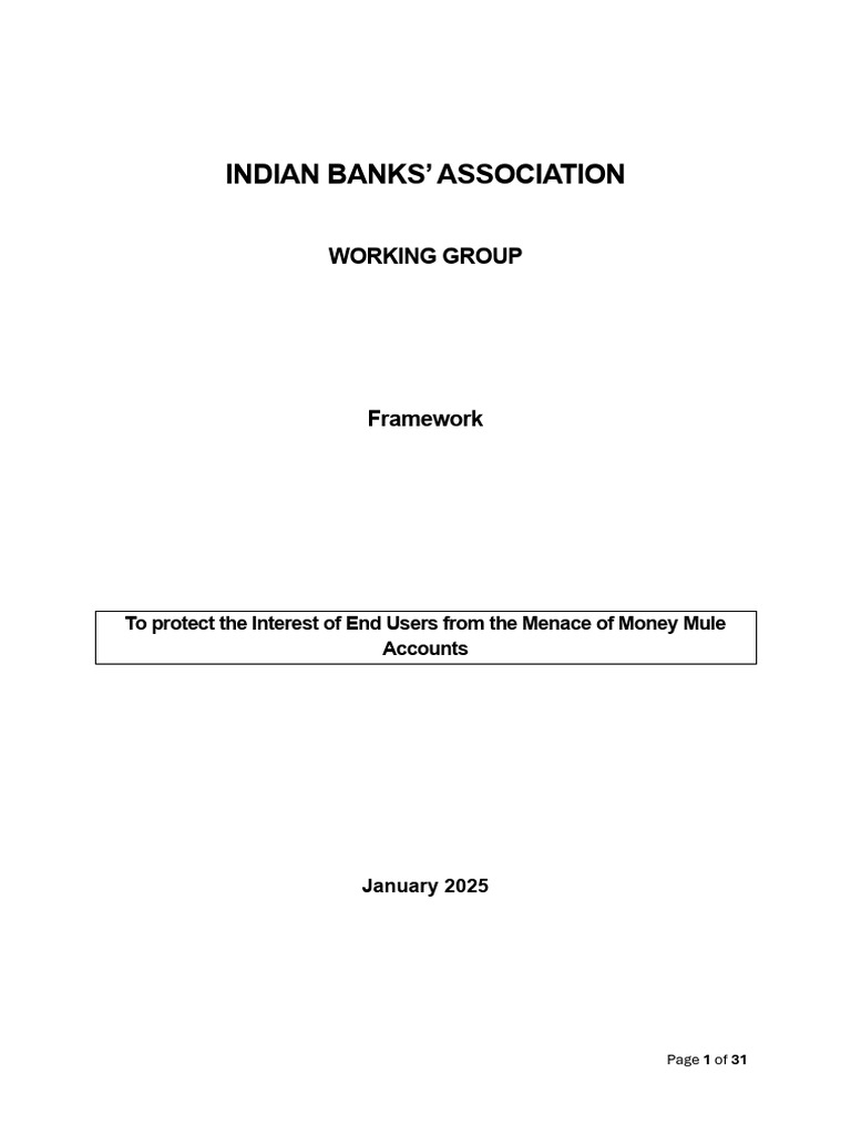 IBA - Framework On Money Mule Accounts | PDF | Machine Learning