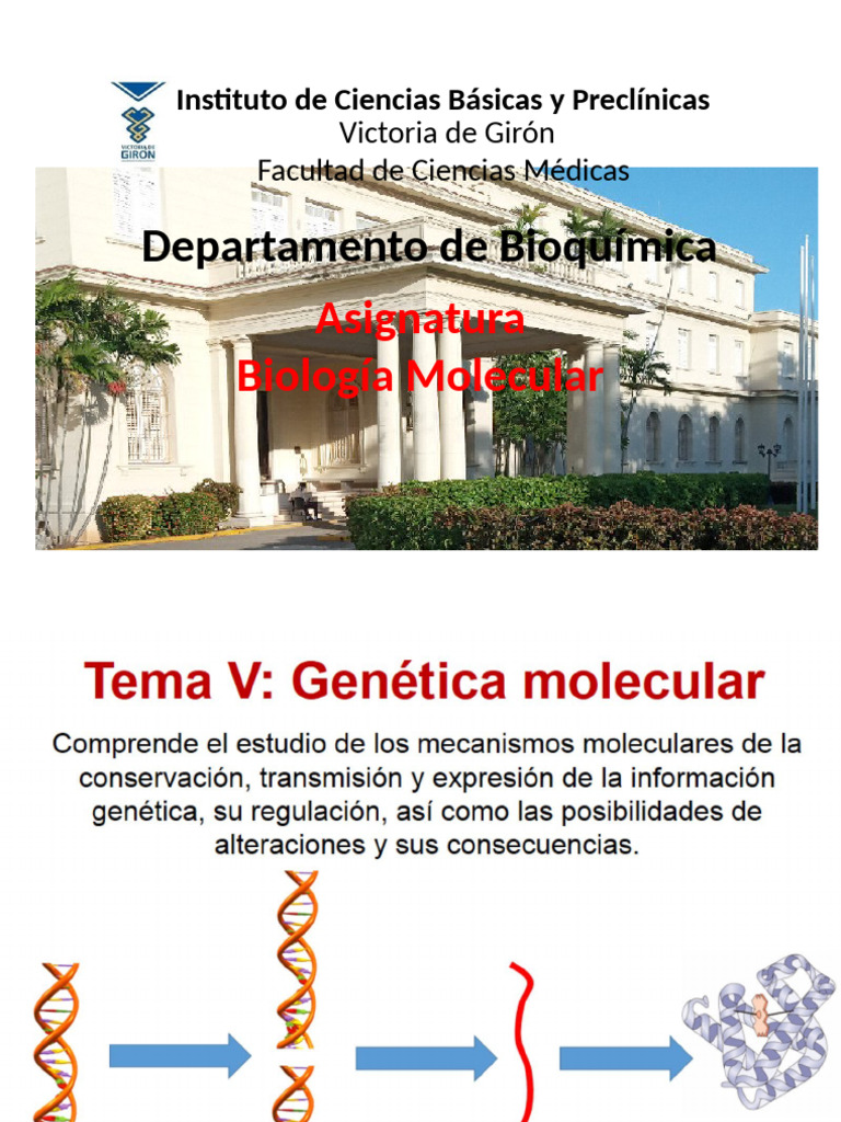 11 Conf. Ciclo Celular y Replicación | PDF