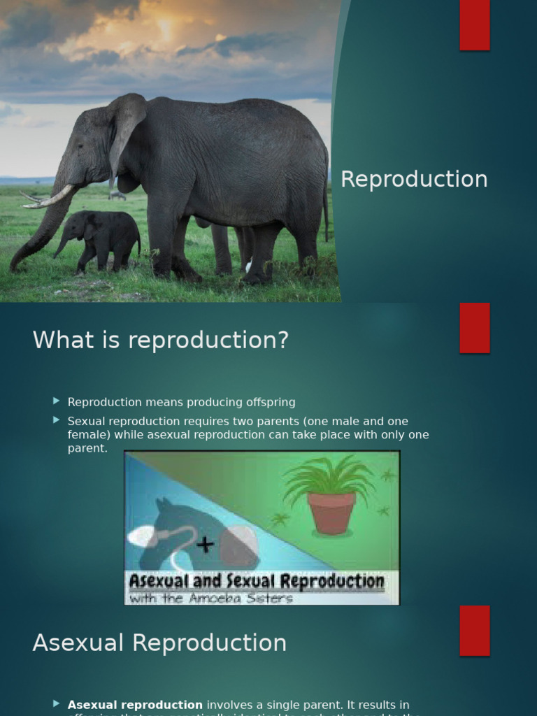 Gen Sci Reproduction | PDF | Sexual Reproduction | Reproduction