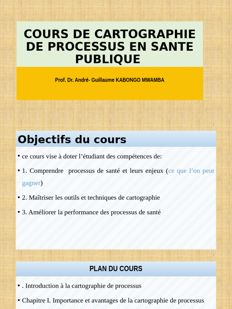 Cartographie des Processus en Santé Publique | PDF | Cartographie ...