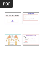 The Skeletal System Answer Key | PDF