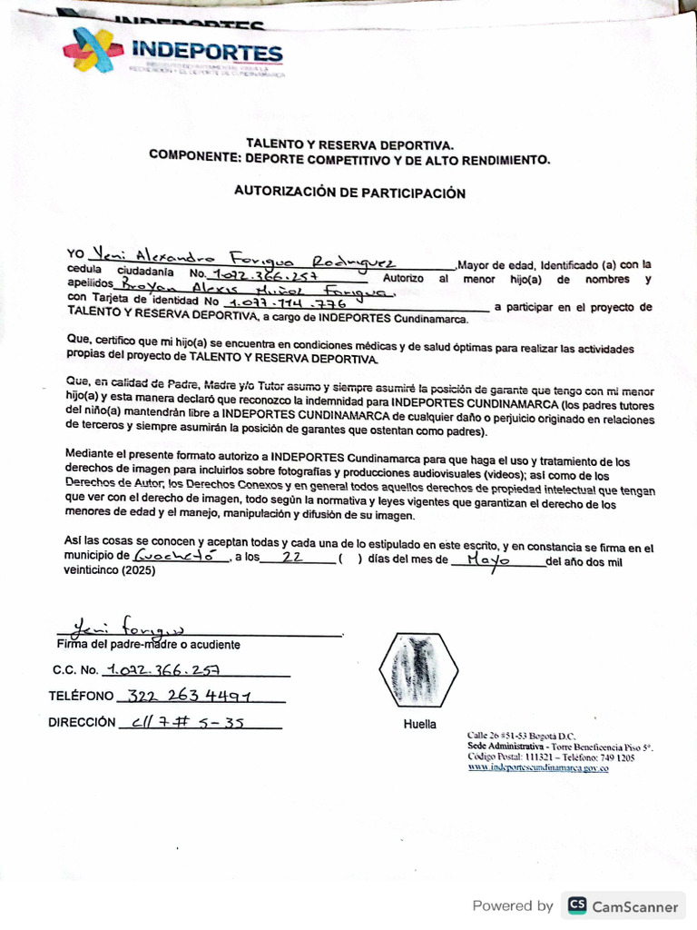 Autorización Brayan Alexis | PDF