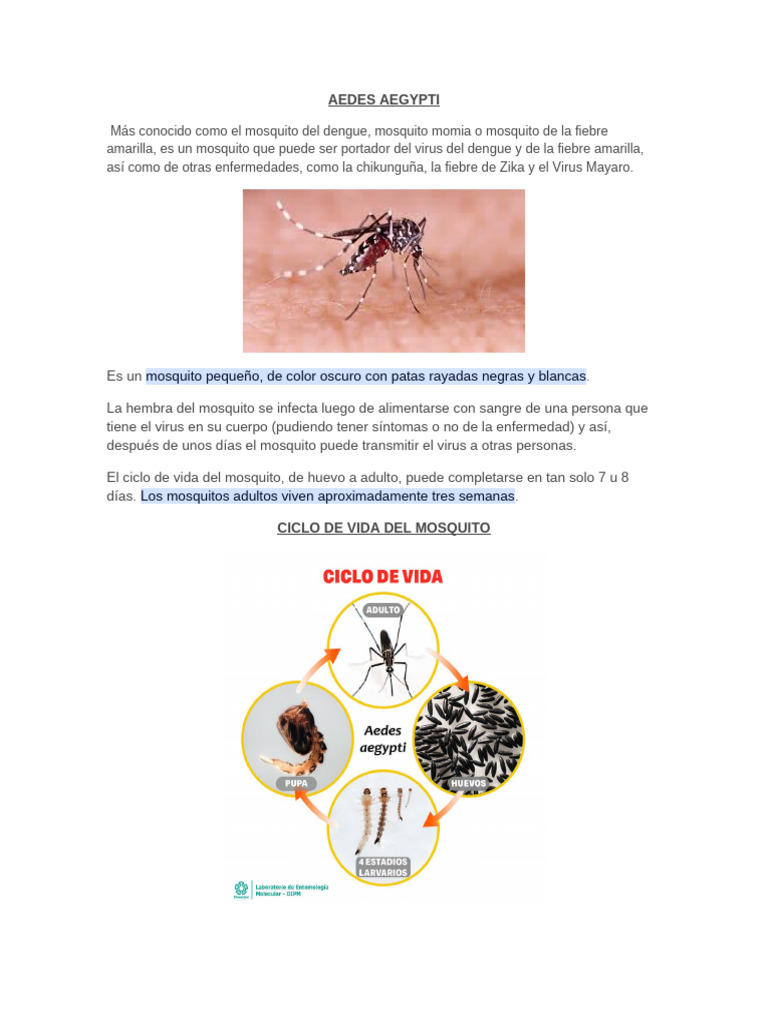 Aedes | PDF