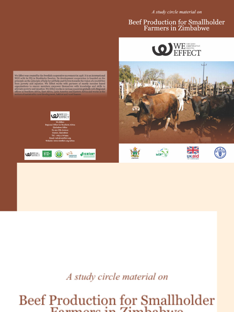 Beef Production For Smallholder Farmers in Zimbabwe (English) | PDF ...