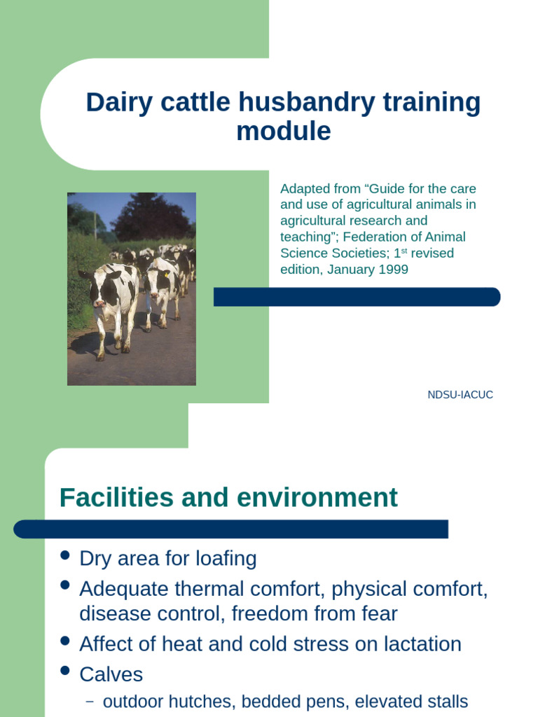 Dairy Cattle Husbandryreadytoload | PDF | Dairy Cattle | Livestock