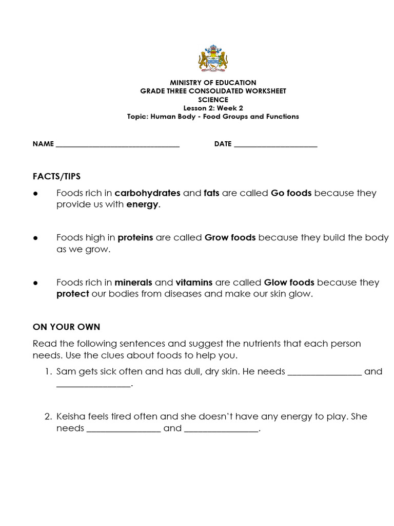 Grade 3 Science Week 2 Lesson 2 - 2022 - Consolidated Worksheet | PDF
