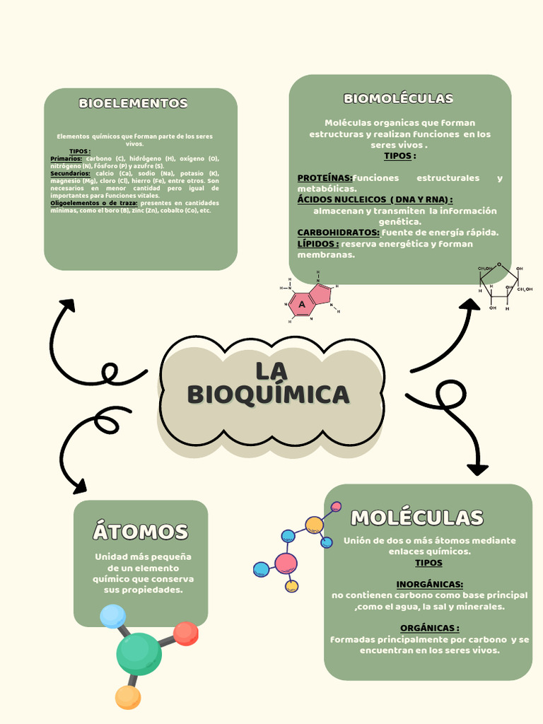 Green and Cream Aesthetic Cute Mind Map A4 Document | PDF ...