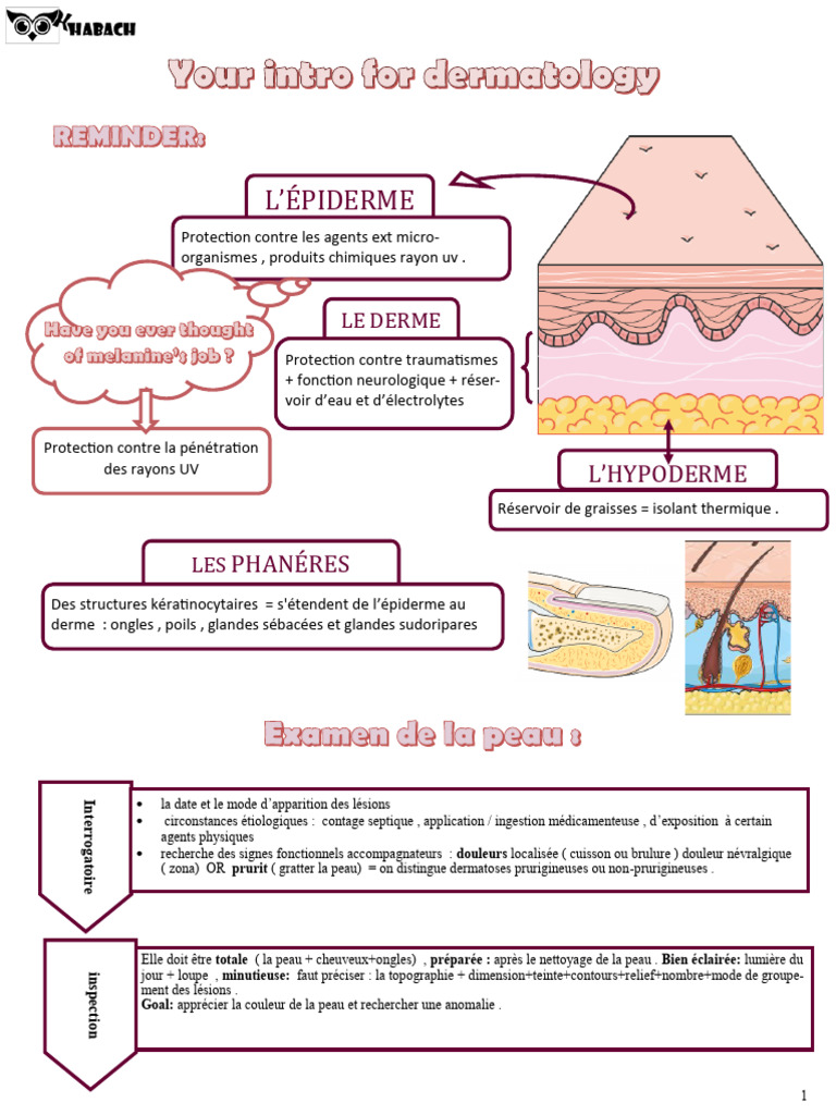 Anatomie et Évaluation Dermatologique | PDF | Peau | Maladies et troubles