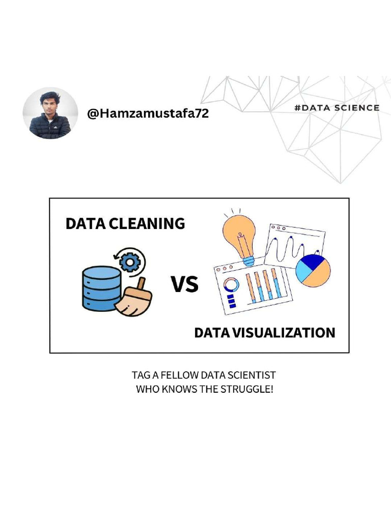 Data Cleaning vs Data Visualization | PDF