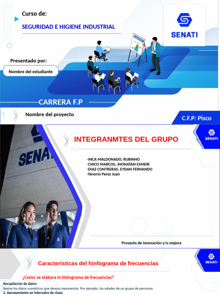 Exposicion Grupal 2024 | PDF | Histograma