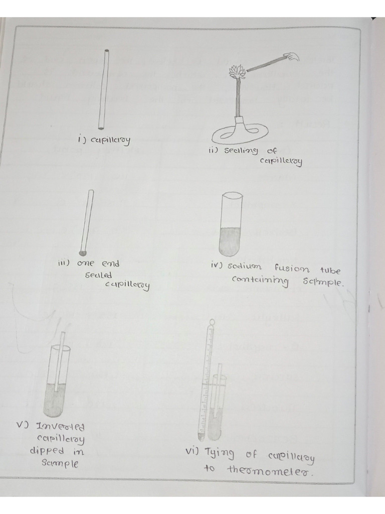 Experiment 12 OC | PDF
