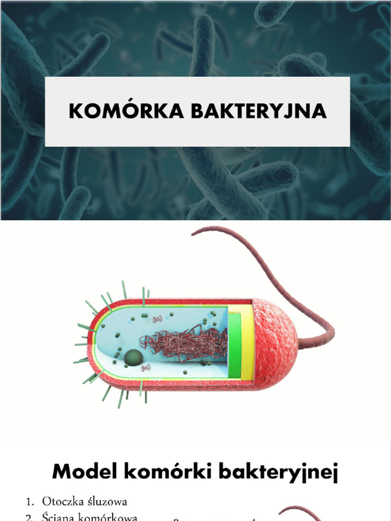 Komórka Bakteryjna | PDF