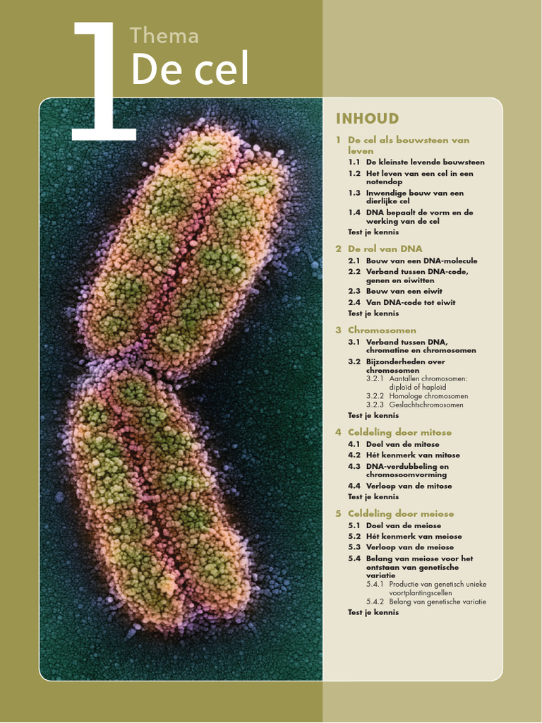 Celbiologie Inhoud | PDF