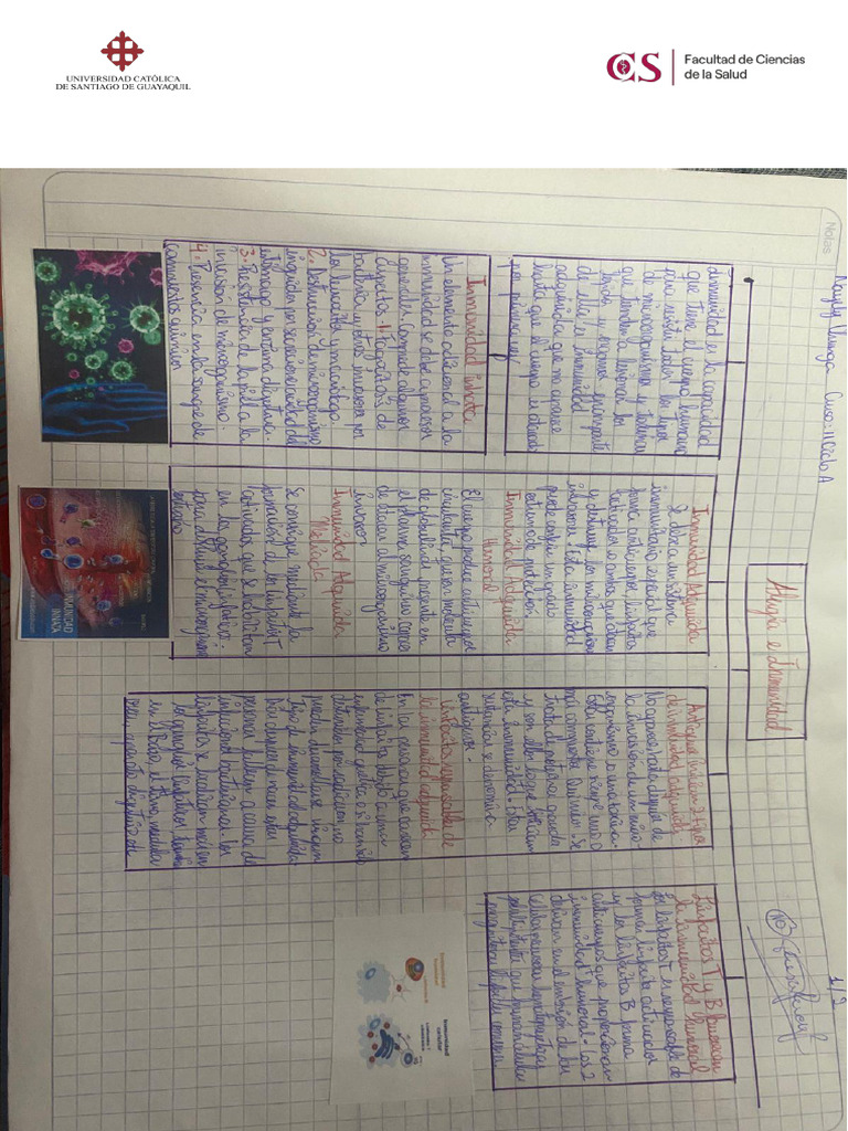 Chunga Nayely - A1 - Mapa Conceptual 2 | PDF