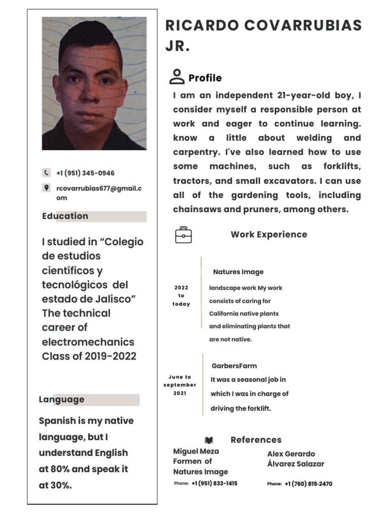 Simple Professional CV Resume | PDF
