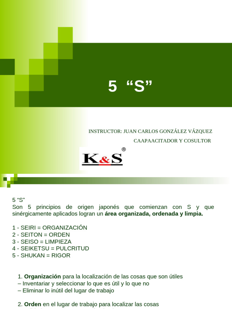 Curso 5 S | PDF